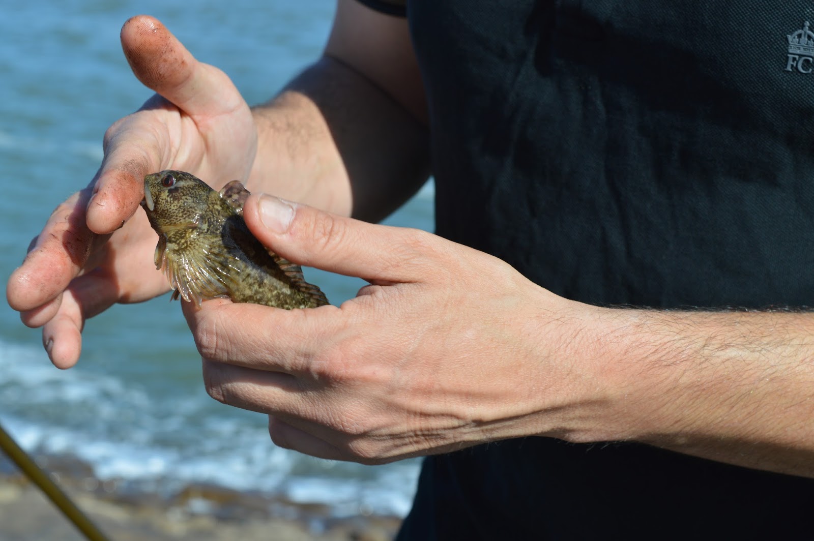 Fish Hooked: Bass Fishing Bude Breakwater