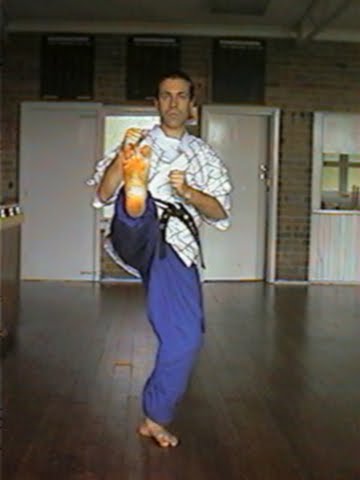 Back to basics: front kick