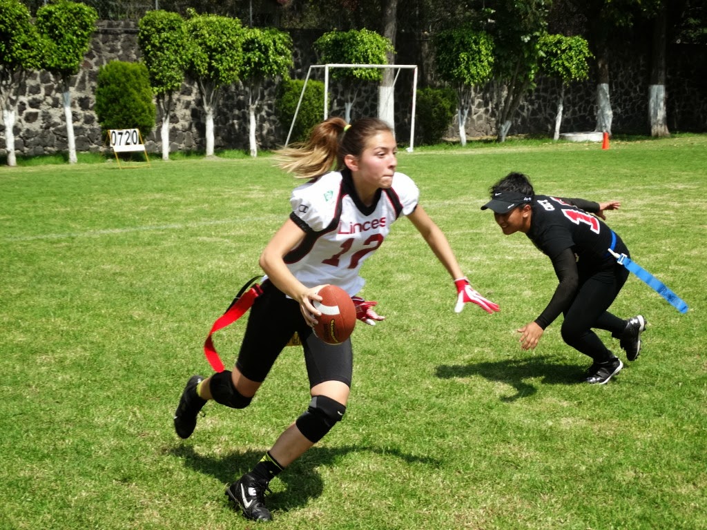 Tocho Bandera Dragones Orizaba: Para empezar... ¿Qué es el Tocho Bandera?