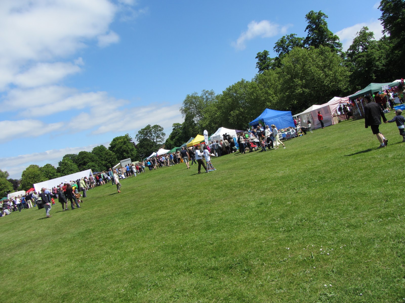 Ham Photos: Ham Fair 2013