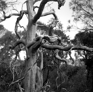 Courtney Bignell Photography