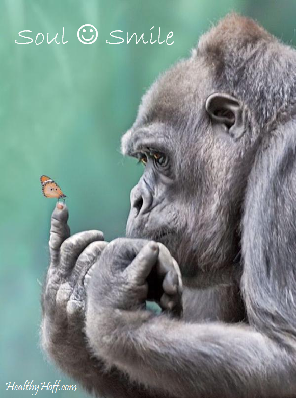 The Healthy Hoff: Soul :) Smile