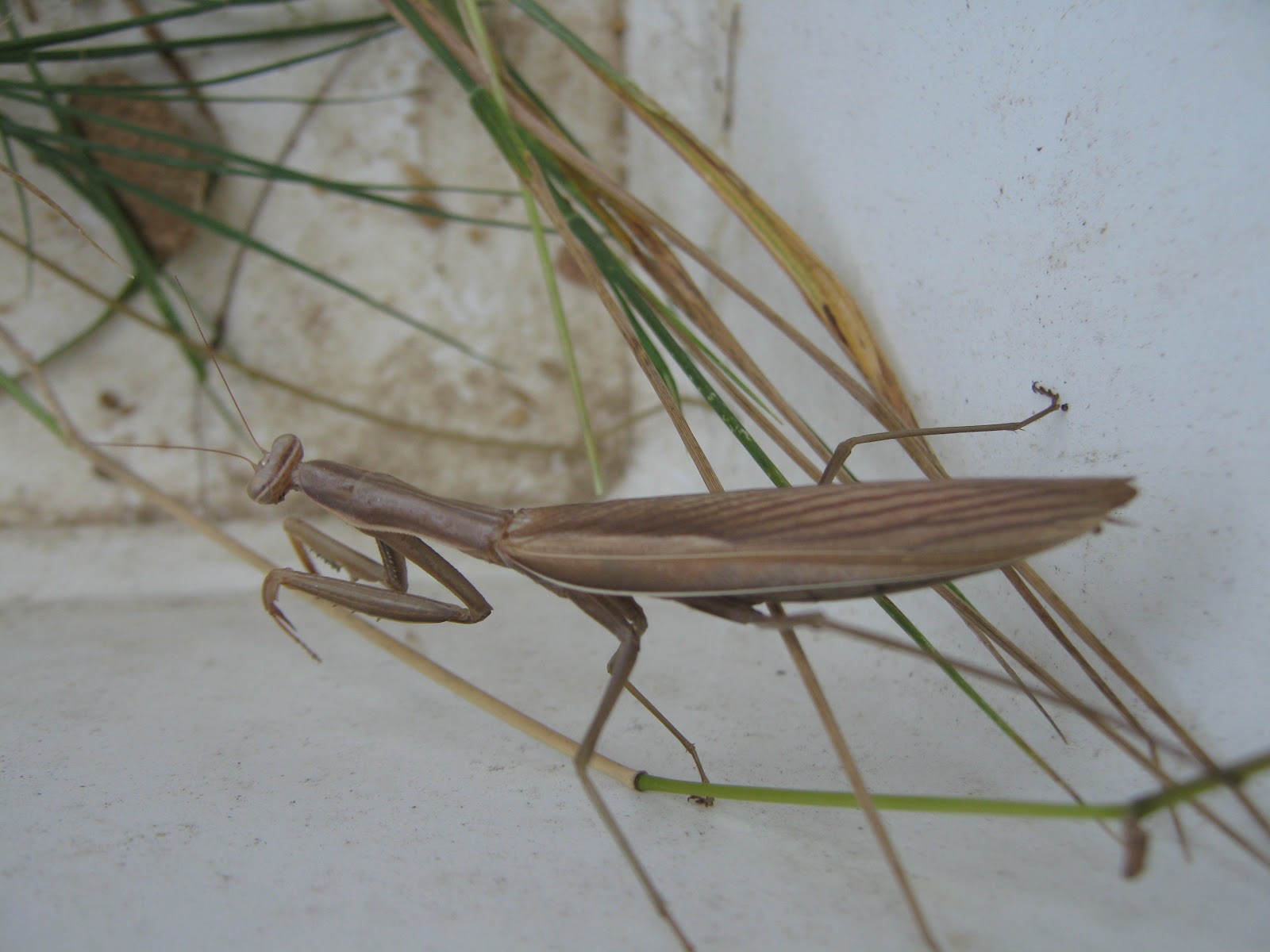 Les Nouals: septembre 2012