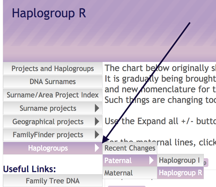 SINTON Surname DNA Blog