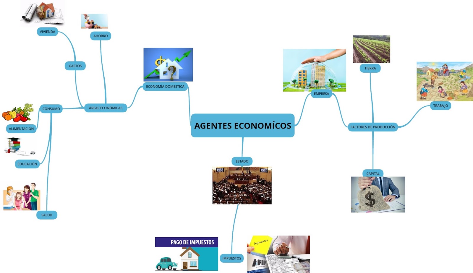 FUNDAMENTOS DE ECONOMÍA: ¿QUÈ SON LOS AGENTES ECONÓMICO?