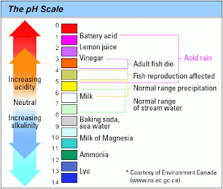 Cercetează: Ph-ul - Potentialul de Hidrogen