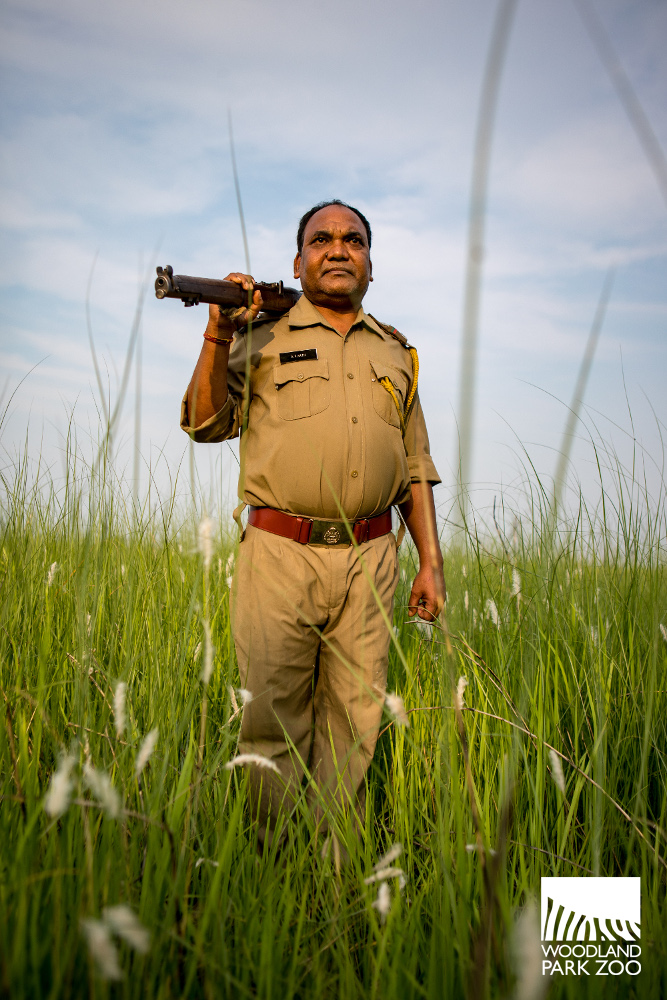 Rhino Lookout: Patrolling for Poachers