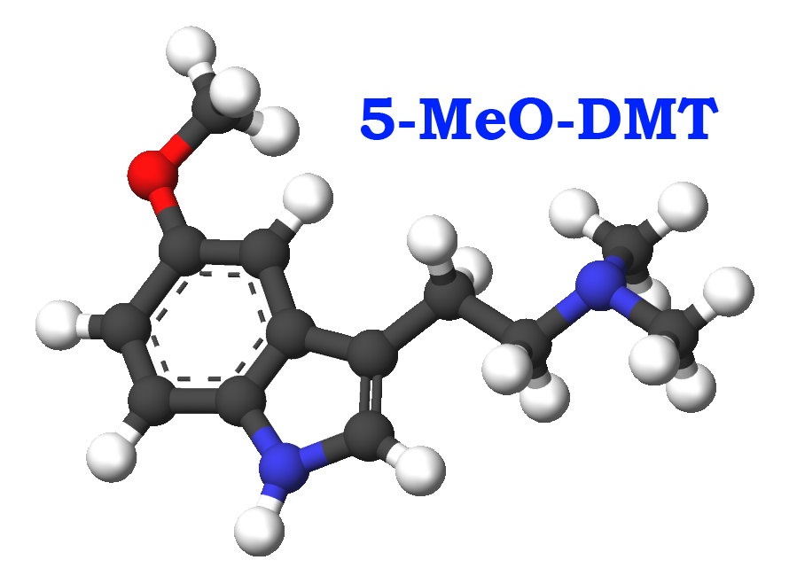 Entrada en lo Absoluto - 5-MeO-DMT ~ Los 7 Maestros