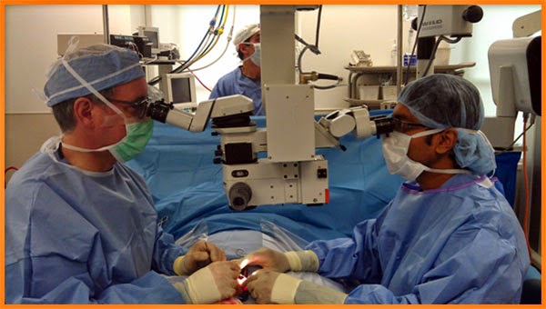 The PA Journey - A Canadian Perspective. : ELECTIVE #1: PLASTIC SURGERY