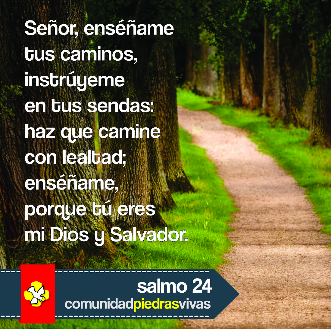 .: Salmo 24