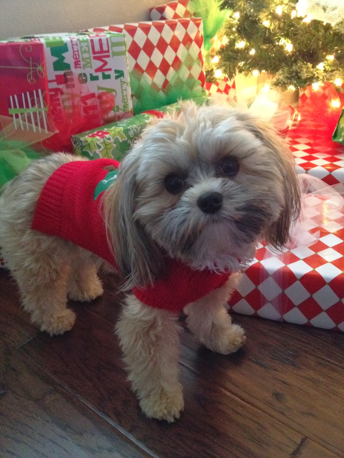 KARA'S STORIES: Christmas Eve
