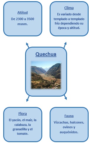HACIA UN PERÚ MEJOR!! : REGIONES Y ECORREGIONES DEL PERÚ