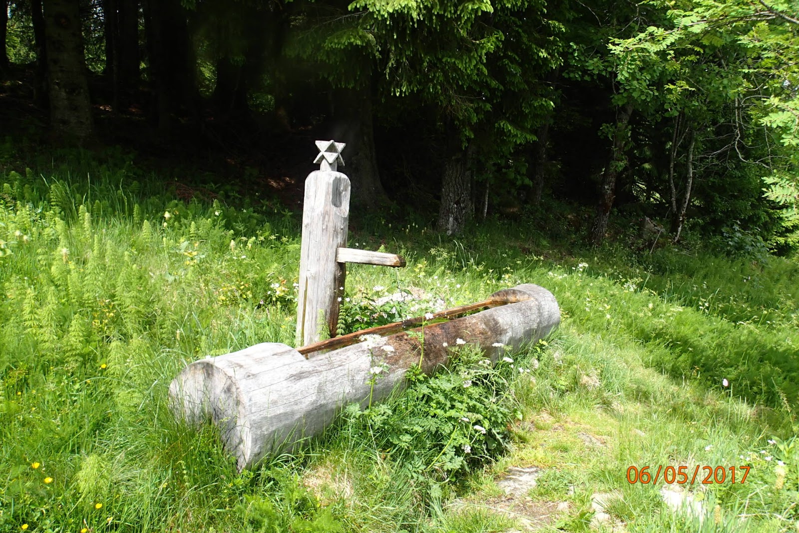 After Nature: Our visit to the Heidegger cabin (Heidegger's hut)