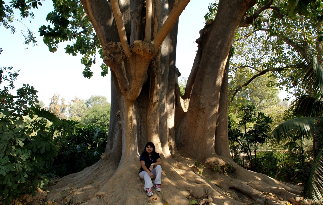 A photo, A thought............: Place: Amazing flora of Fullerton ...