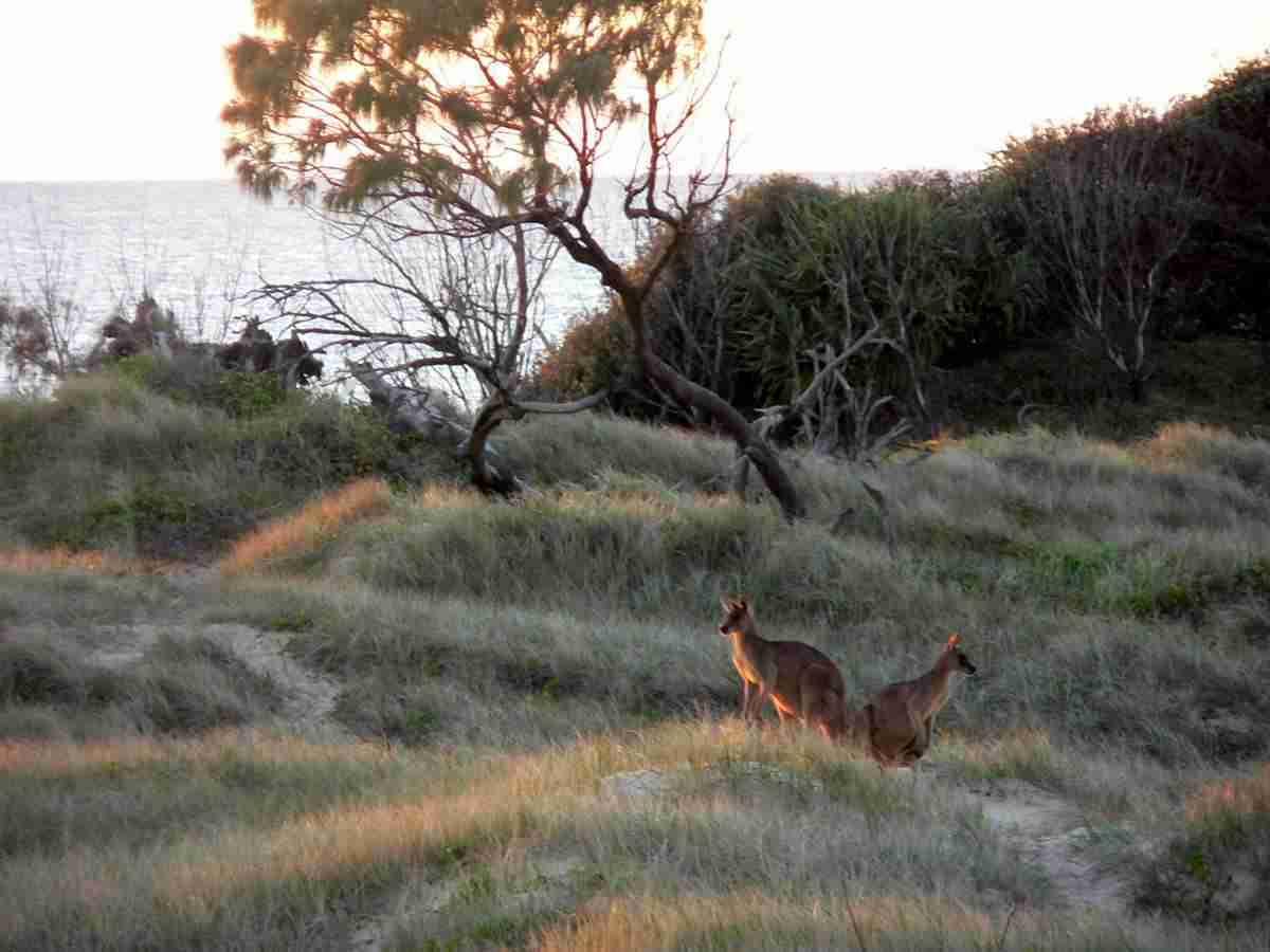 A Trip to the Beach: Even More Photos!