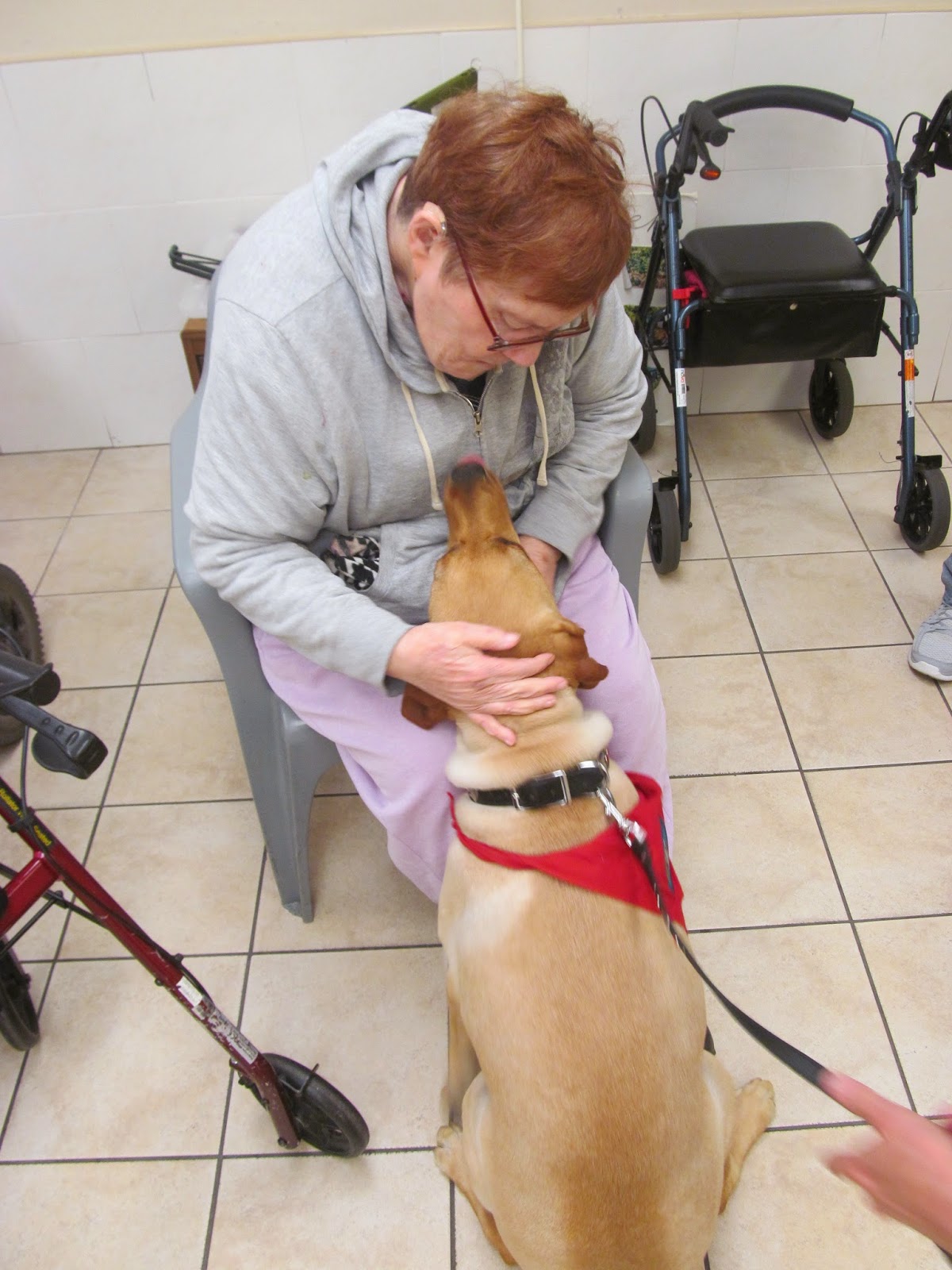 Poppy the Therapy Dog