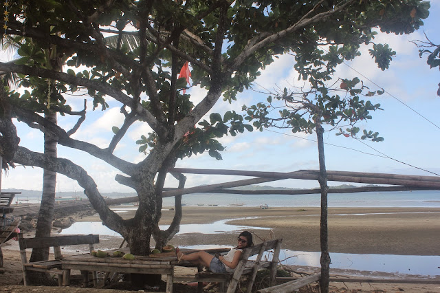 Travelling for Less: Discover Tablas Island, Romblon: Looc Bay Marine ...