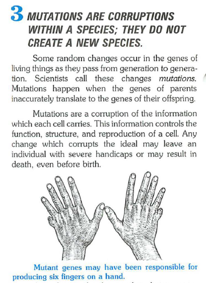When Cows and Kids Collide: ATI Wisdom Booklets: The Evils of Evolution ...