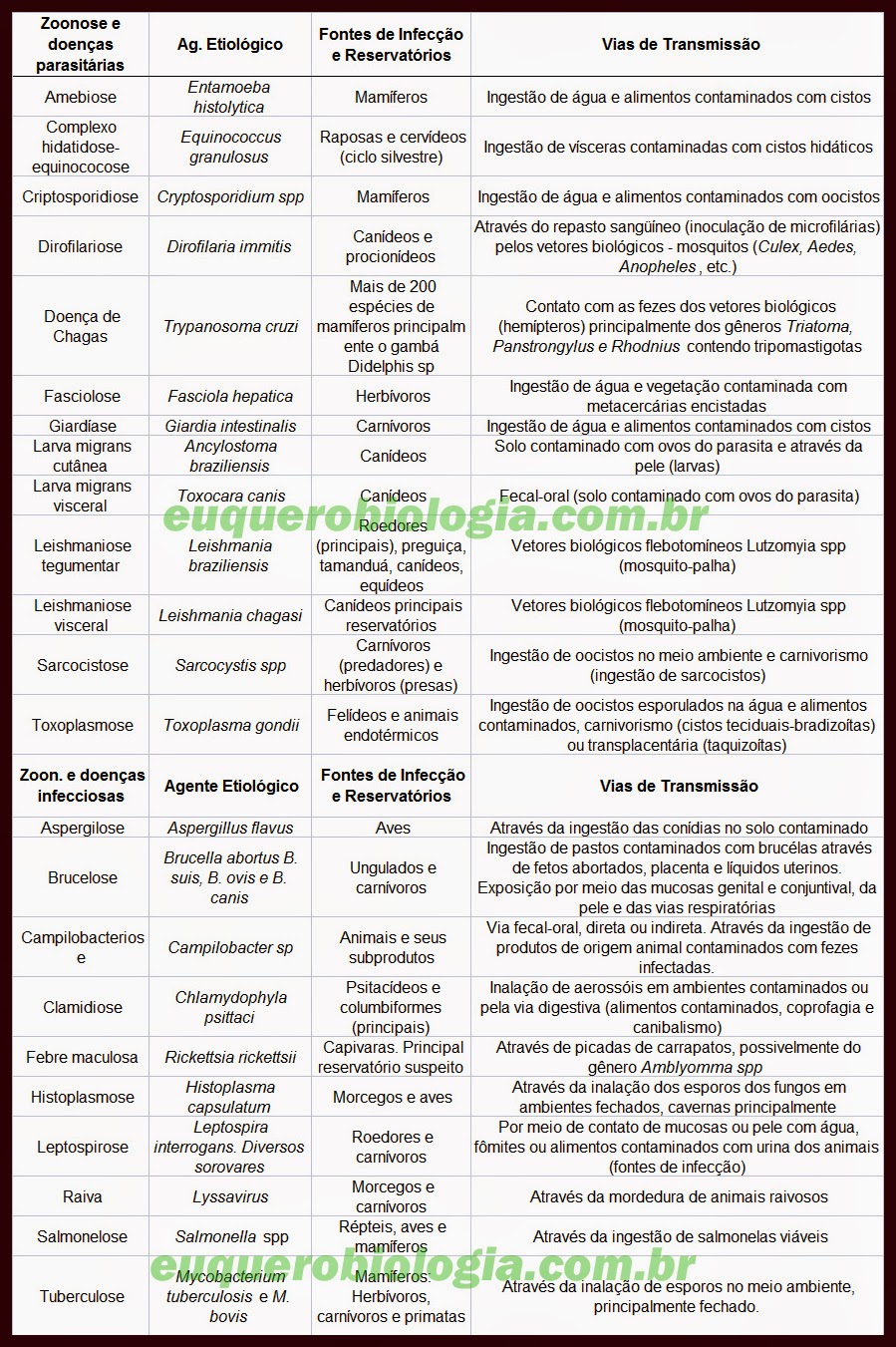 EsquadrãoPet: Animais silvestres e as doenças que podem transmitir aos ...