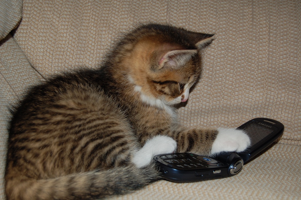 paper bag & string: Kitty's 10 Easy Tips for Hosting a Purr-fect ...