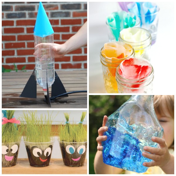 Spring Science For Kids Growing A Jeweled Rose Spring Science For Kids Growing A Jeweled Rose