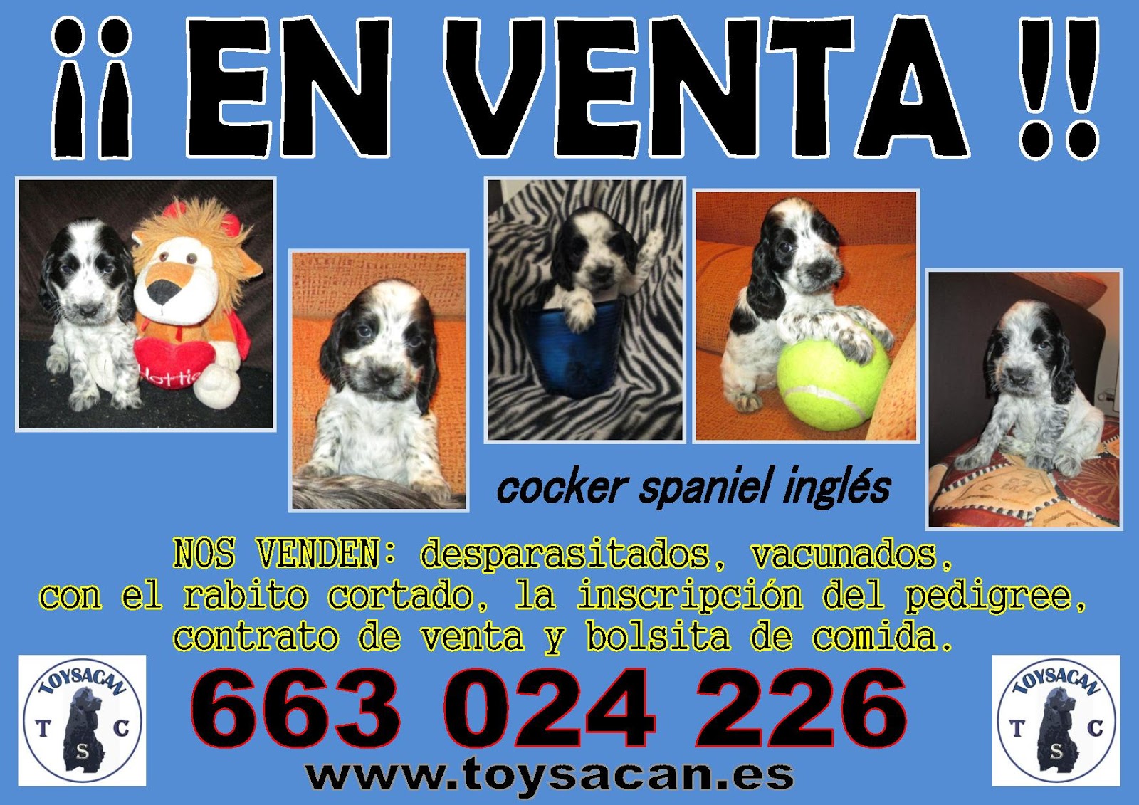 Cuaderno rubio para Perros: El cartel