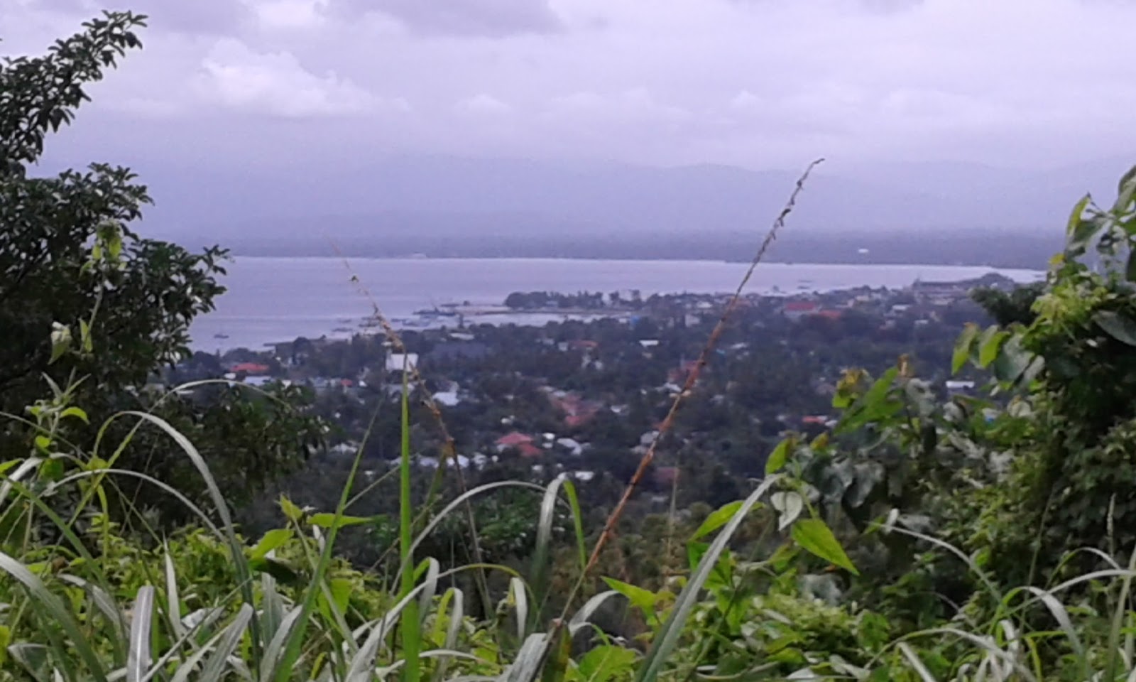 Icko juliet: MASOHI - MALUKU TENGAH