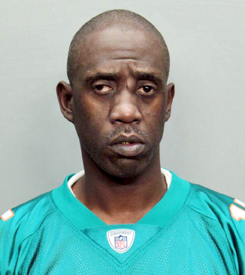 Random Pixels Blog: Die-hard Dolphins fan banned from Sun Life Stadium