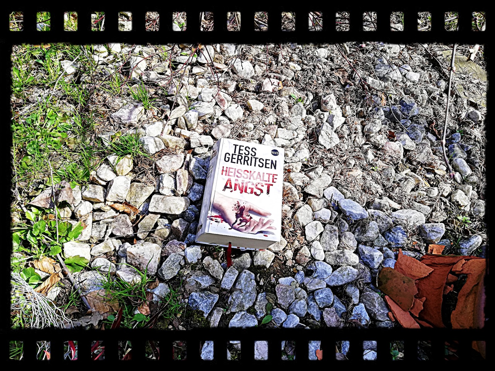 4 Tess Gerritsen Kitabı - Deli Kız Öneriyor