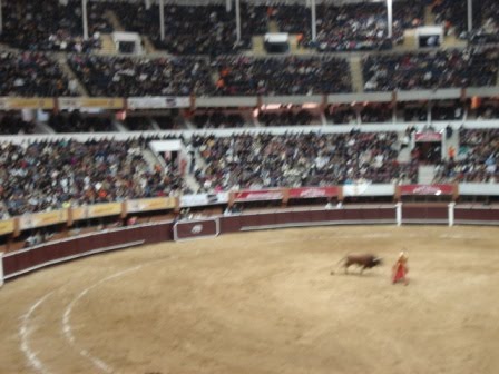 S L Tierra de Toros: Galería El Domo San Luis Potosí