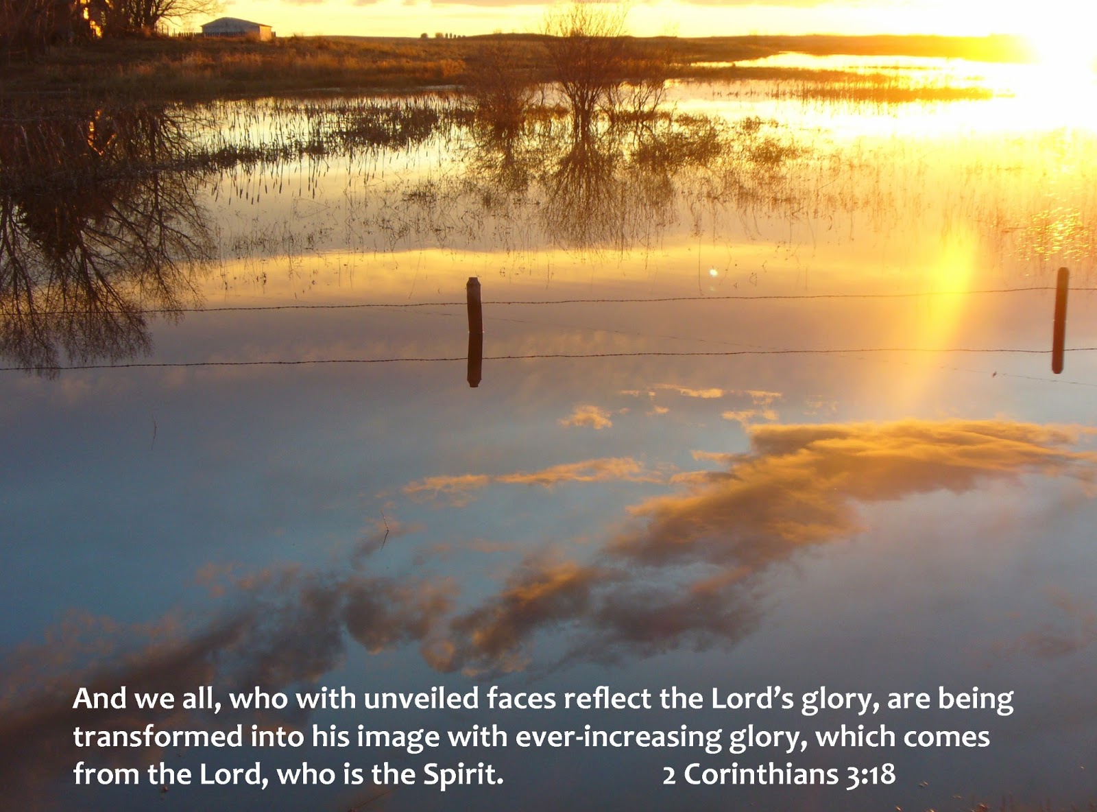 Inkwell Inspirations: 2 Cor 3:18 Scripture Photo