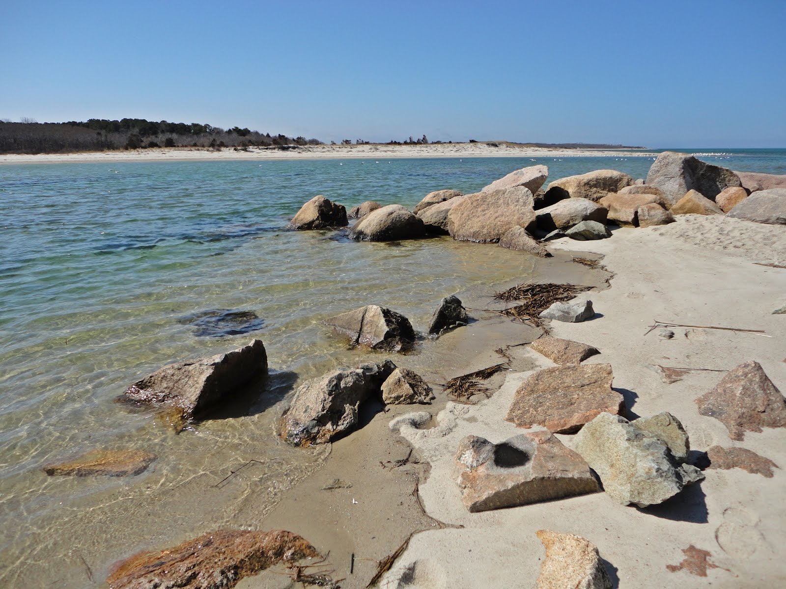 Cape Cod Washashore: Cape Cod Bay in the Spring