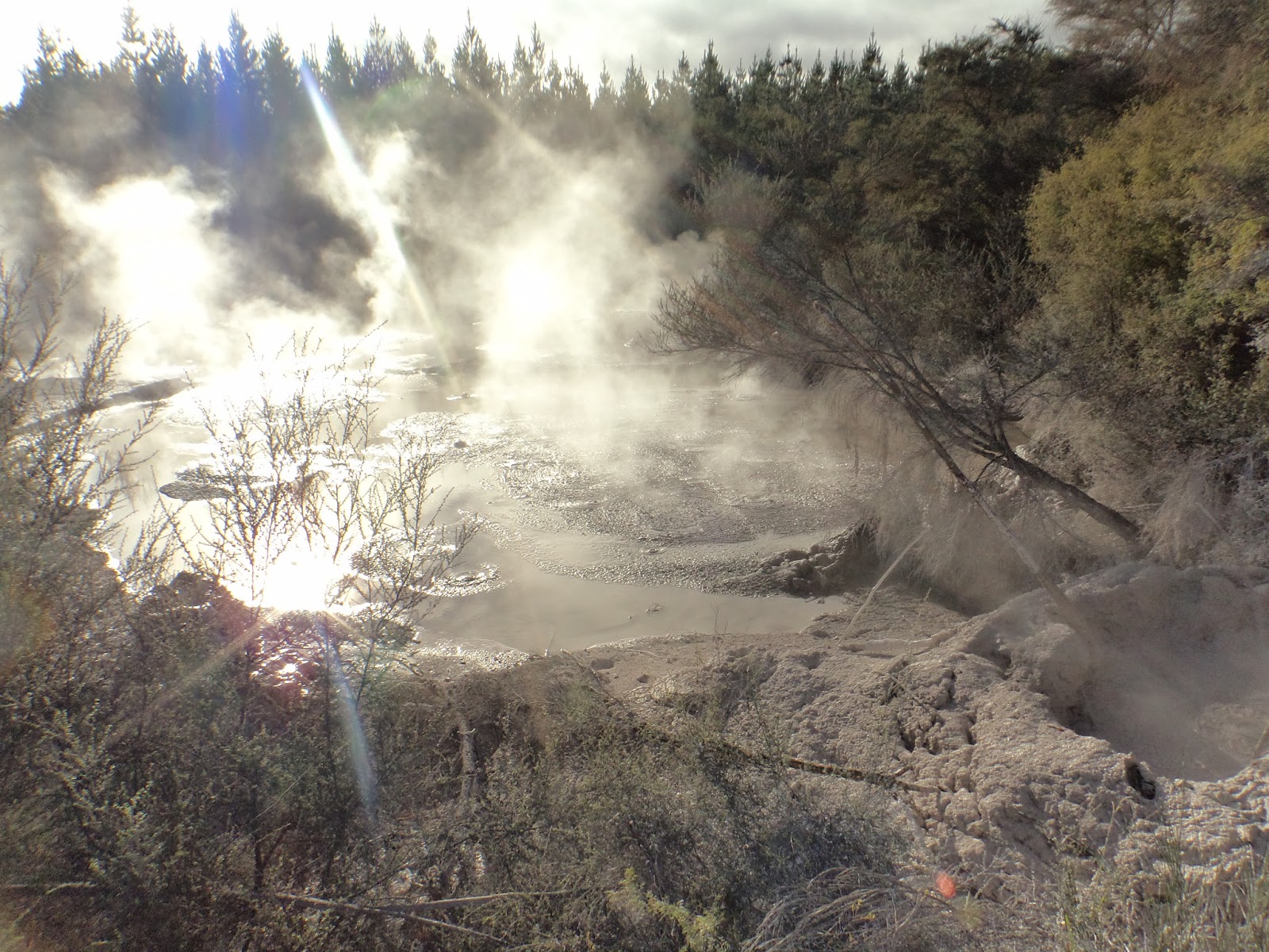 Me voy a dar una vuelta...al mundo: AUCKLAND, ROTORÚA, TAUPO