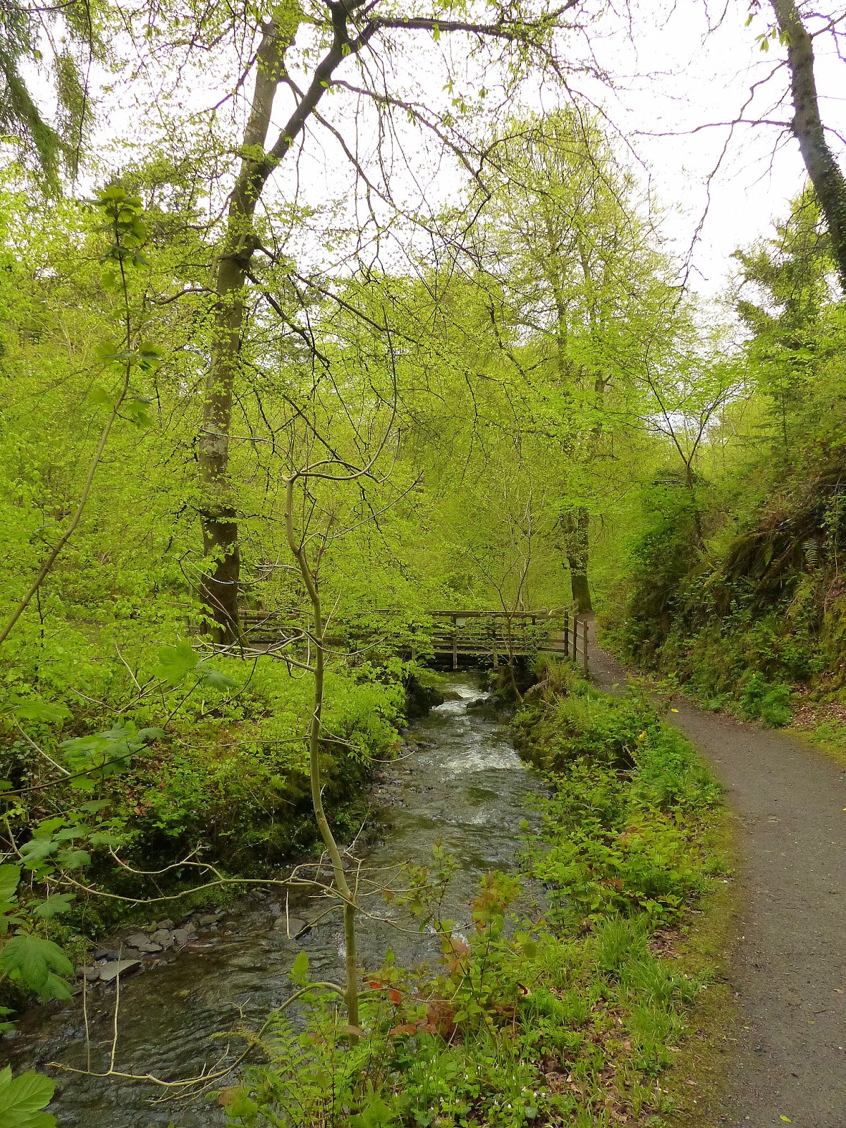 Birding For Pleasure: Crawfordsburn Country Park (Part 1)