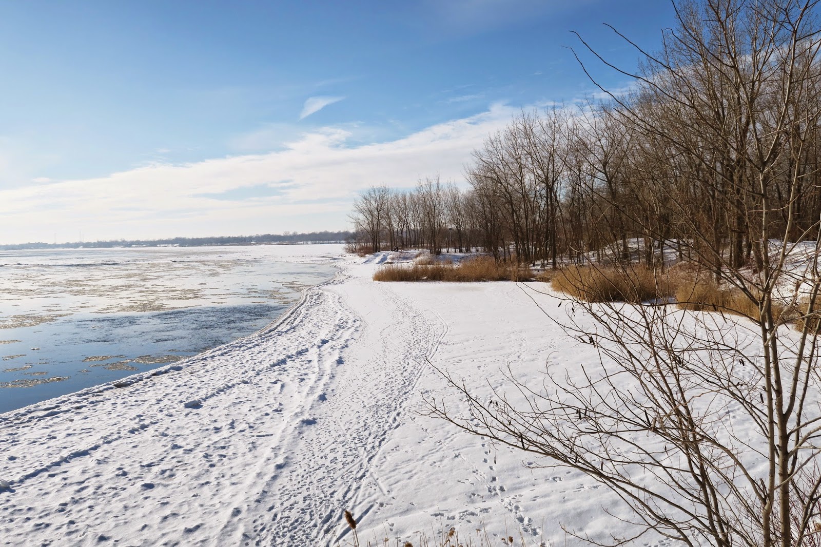 - POINTS OF VIEW _______________: BEACHES OF QUEBEC ... in February!
