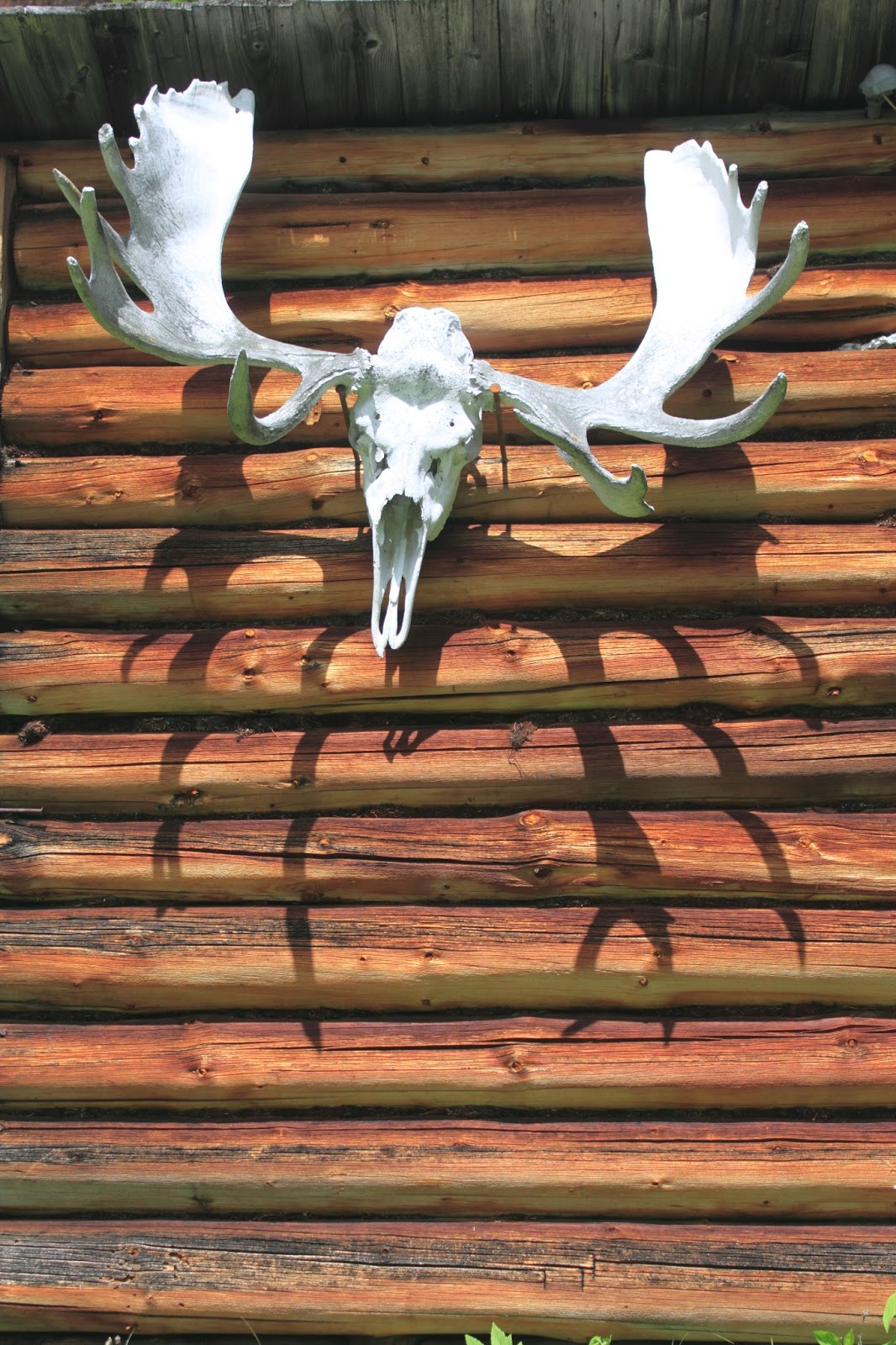 Jana Malinek Photography: March 2013