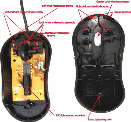 Apa yang Anda Tahu Tentang Mouse.? ~ Tripavillage