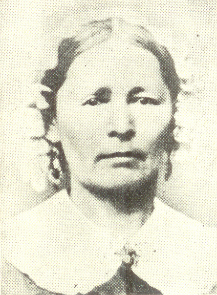 Robinson Genealogy: Senator Rix Robinson of Michigan