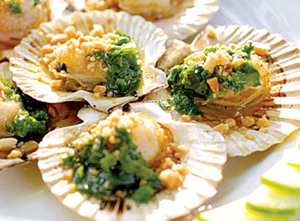 Grilled scallops on the half shell ~ FREE LIFE