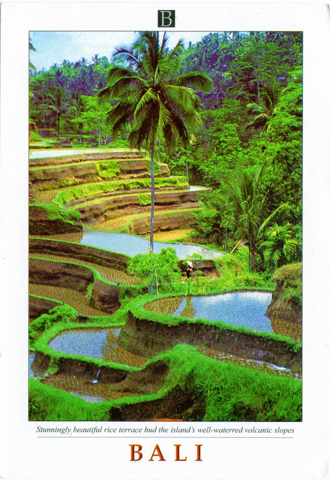 World Come To My Home 1347 Indonesia Lesser Sunda Cultural Landscape Of Bali Province