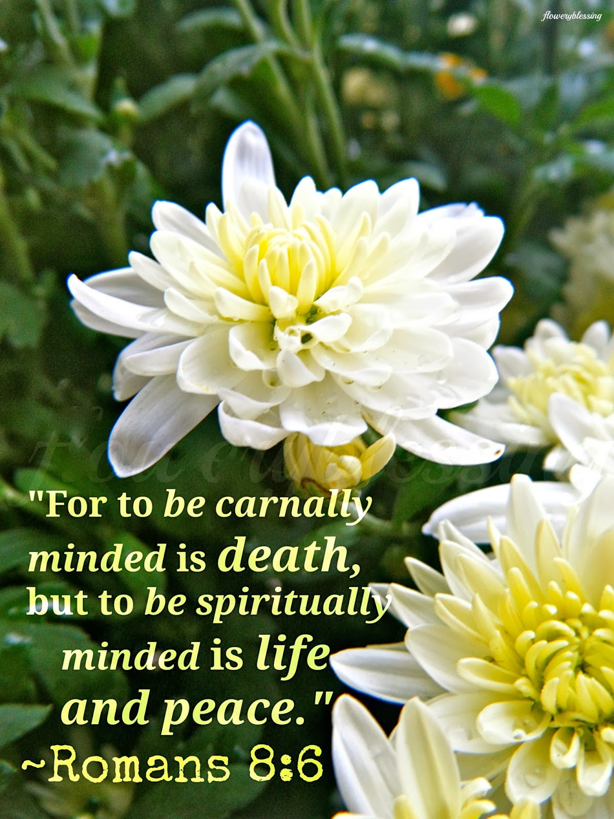 Flowery Blessing: "For to be carnally minded is death, but to be ...