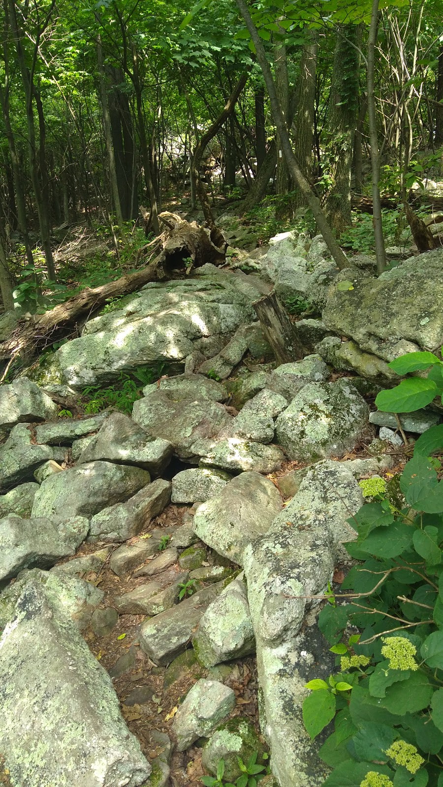 AT033-Conodoguinet Creek Bridge ATC Scot Farm Trail Work Center (Tent ...