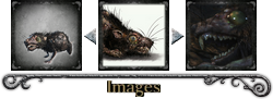 Labyrinth Rat | Bloodborne Wiki