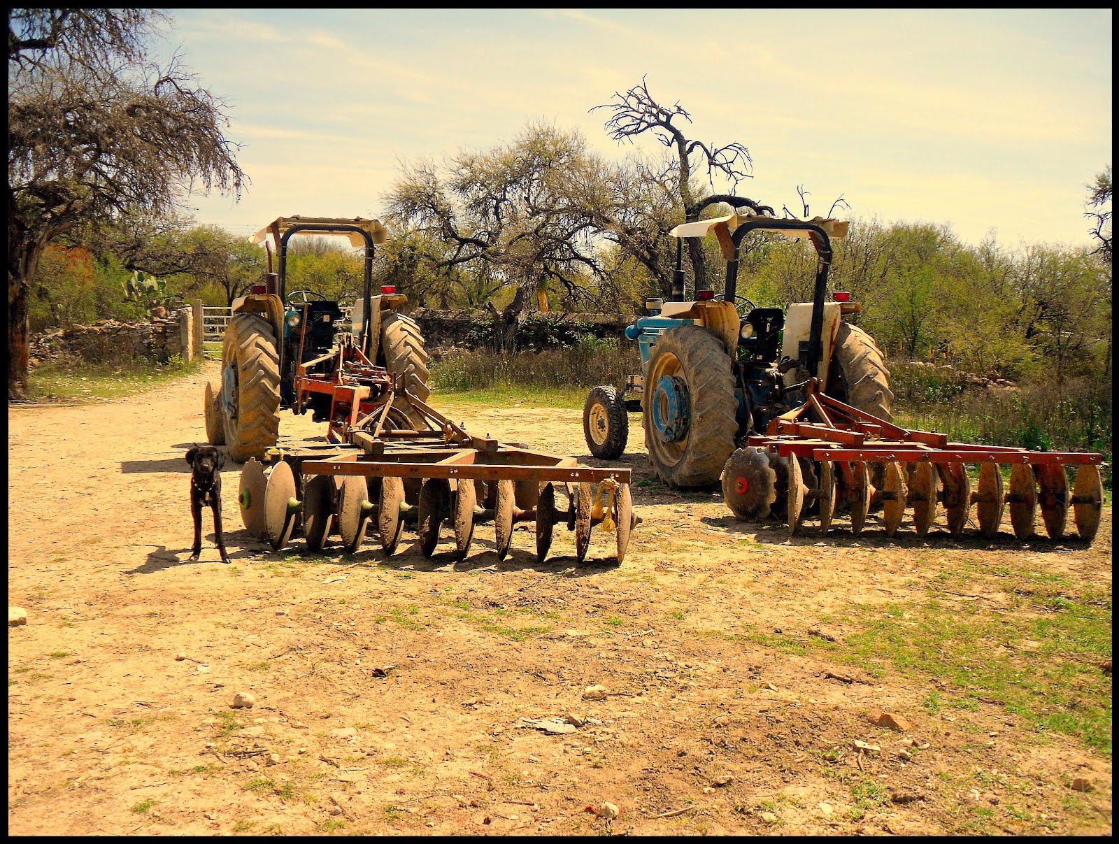 Derramaderos ~ El Blog de Azael Pintor