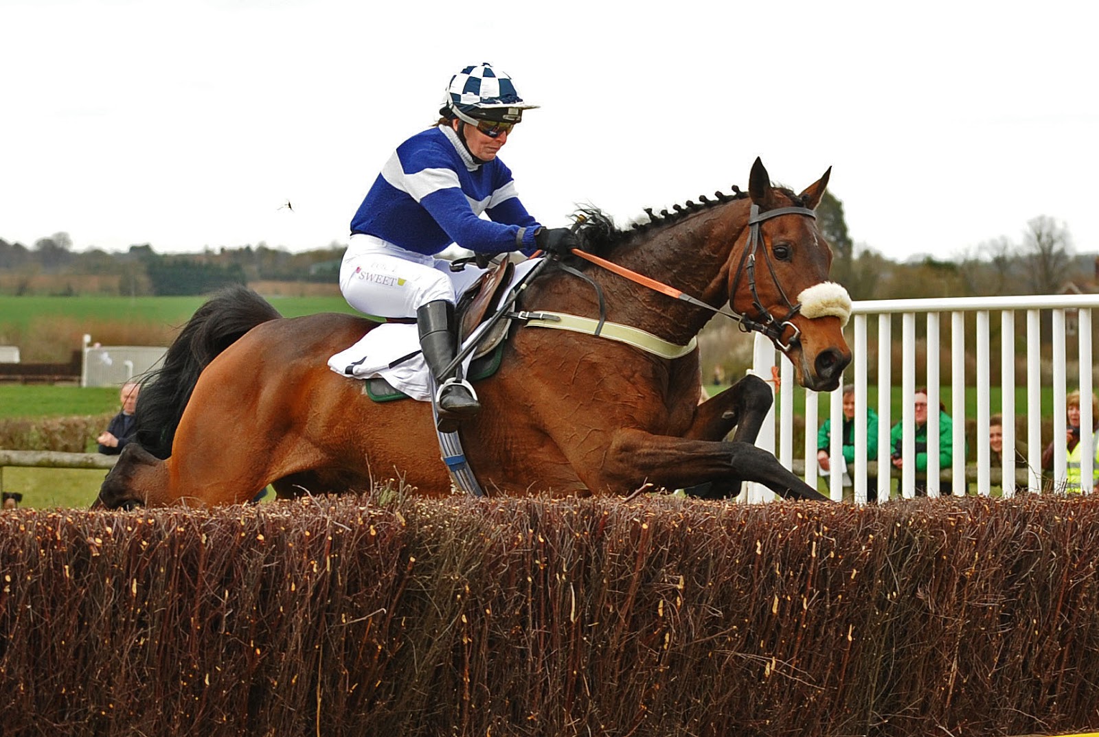 www.mjayphotography.co.uk: HIGH EASTER POINT TO POINT, HIGH END RACING ...