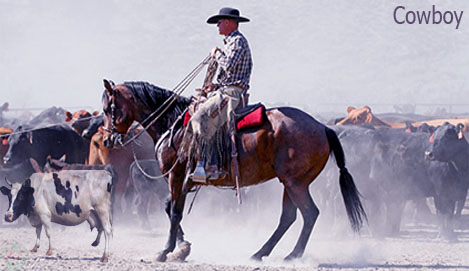 Learn 87 Occupations Name with Necessary Vocabulary & Pictures ...