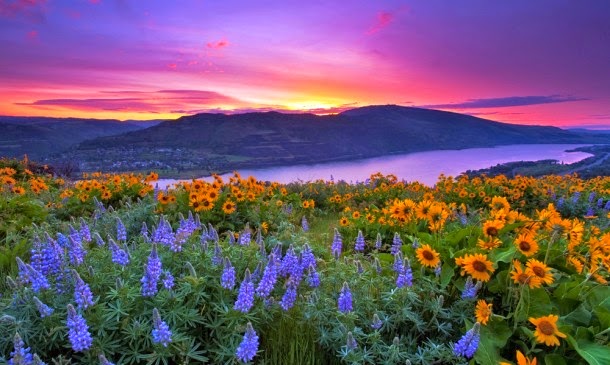 Origins Oregon: SPRING IN PORTLAND OREGON