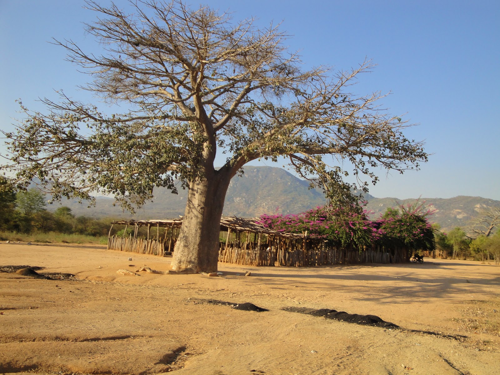 Lobito - Benguela - Angola: ==> *** Município do Chongoroi - Terra dos ...