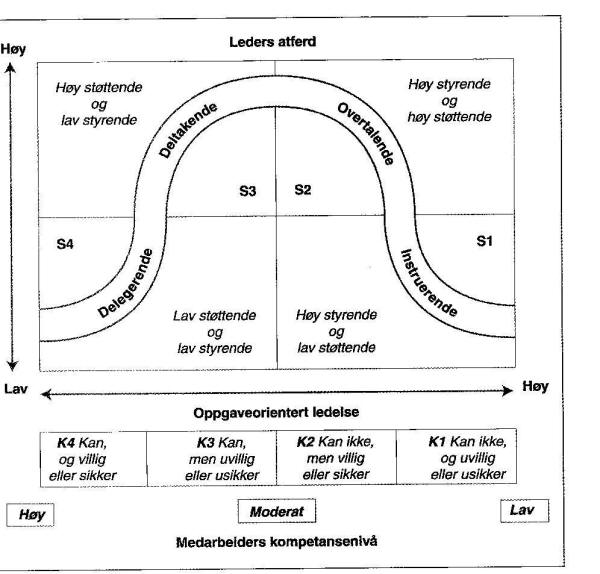 Rose-Maries litteratur- og filmblogg: Geir Thompson: "Situasjonsbestemt ...