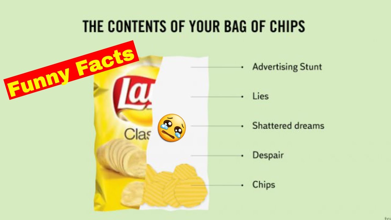 Funny Facts FunFuz funny-facts-funfuz